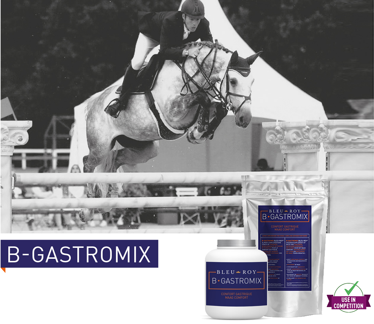 Bleu Roy - B-Gastromix - Confort gastrique pour cheval
